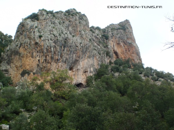 Randonnée sur le djebel Bargou - Destination Tunis