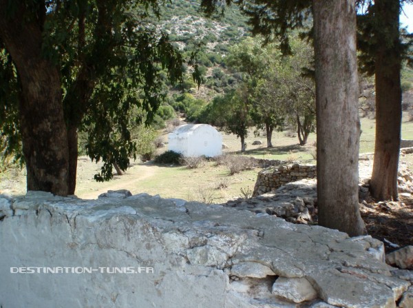 Grand Pic de Zaghouan par Sidi Bou Gabrine - Destination Tunis