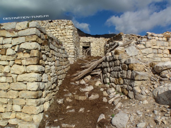 Randonnée sur le djebel Bargou - Destination Tunis