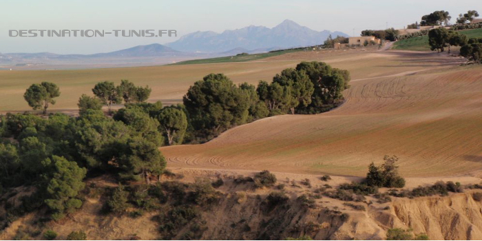 Randonnée sur le djebel Rihane - Destination Tunis